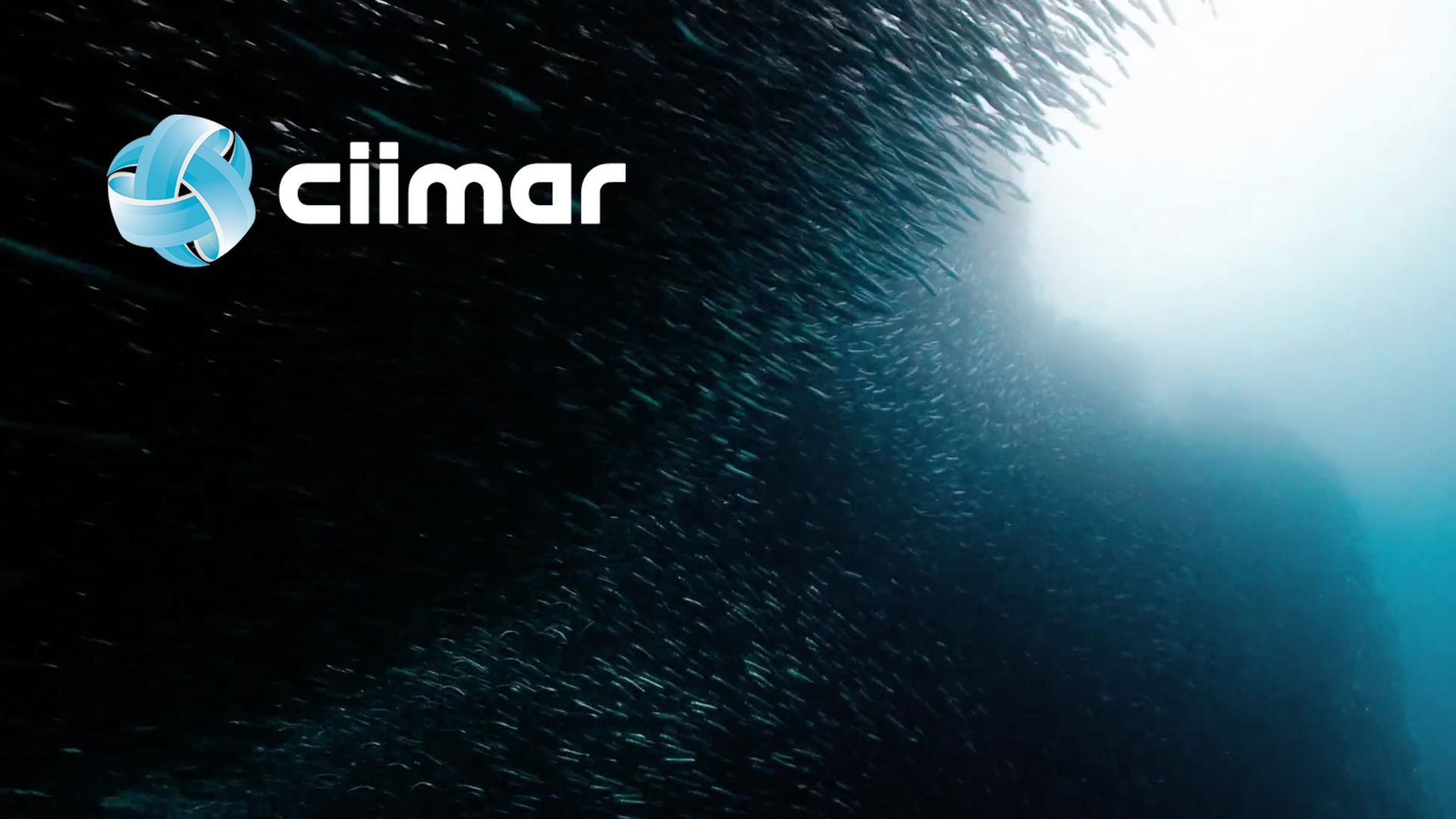 CIIMAR – Interdisciplinary Centre of Marine and Environmental Research ...
