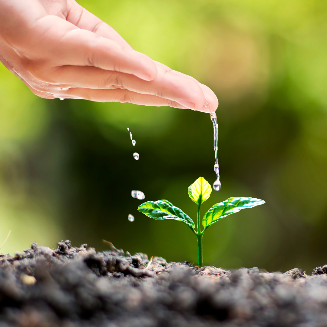 Projects – CIIMAR – Interdisciplinary Centre of Marine and ...