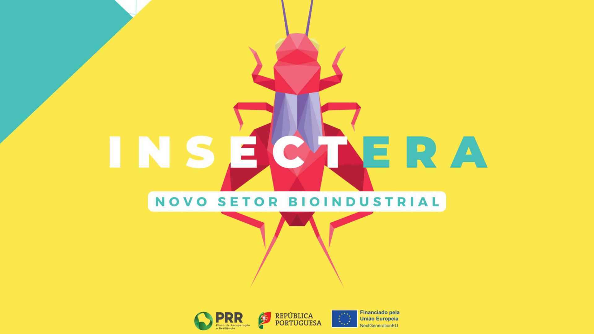 First Anniversary of the Agenda Mobilizadora InsectERA – CIIMAR ...